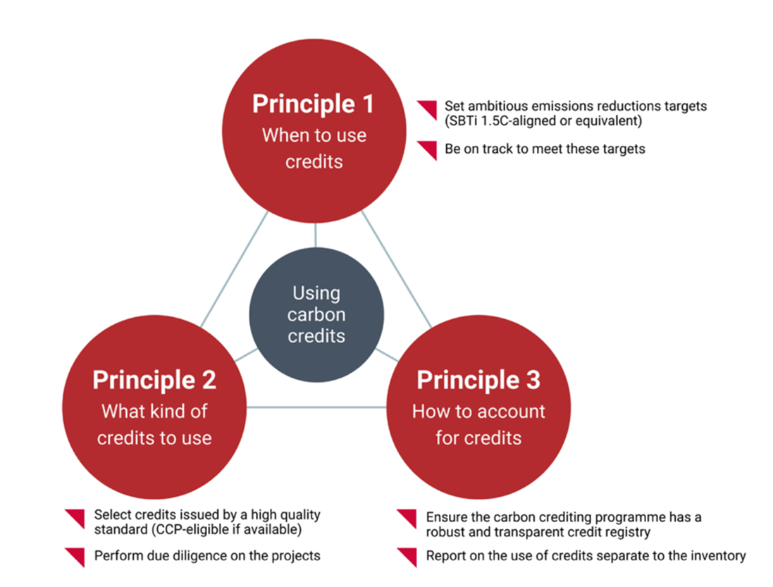 【碳權系列23】CDP新增碳權欄位，高品質碳權成為助力 – CSRone 永續智庫
