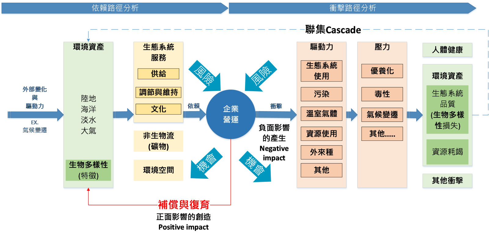 2022年CDP 評比結果分析：臺灣企業參與家數及評級均成長 未來生物多樣性的承諾、評估是重點 – CSRone 永續智庫