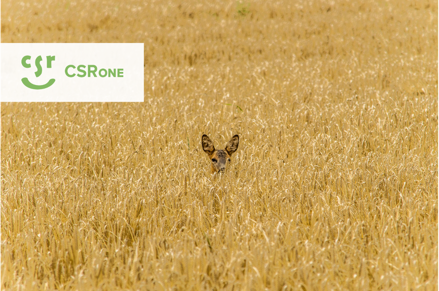 避免漂綠、回歸基礎：GRI八大原則 – CSRone 永續智庫