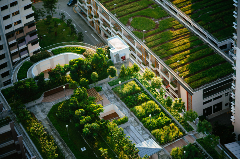 邁向自然正向未來：企業共創生物多樣性與永續新篇章 – CSRone 永續智庫