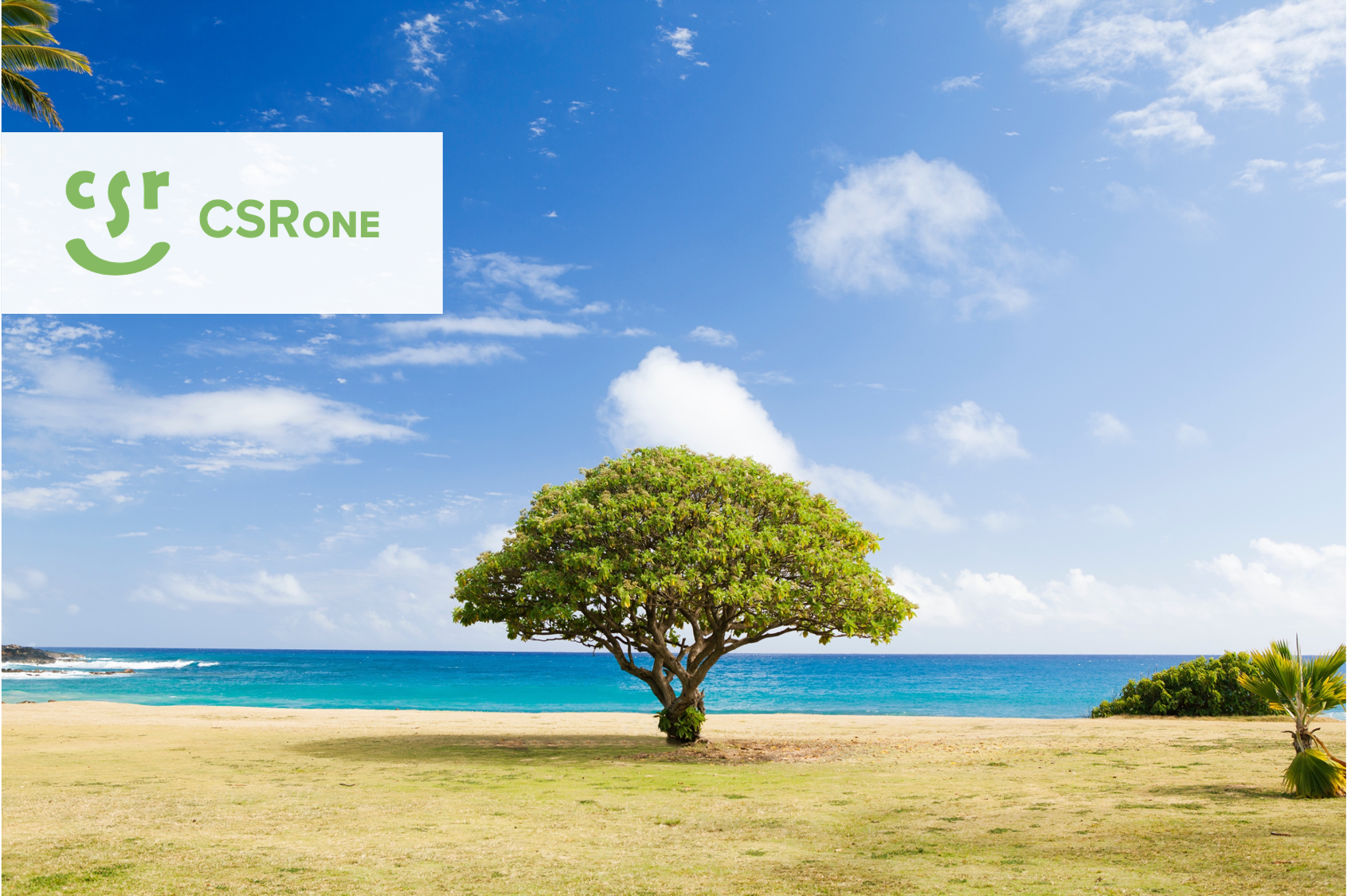 【碳權系列6】減碳這件大事的起源（下） – CSRone 永續智庫