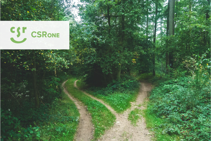 COP28之後企業 投資 消費三方關注的重點為何？ – CSRone 永續智庫