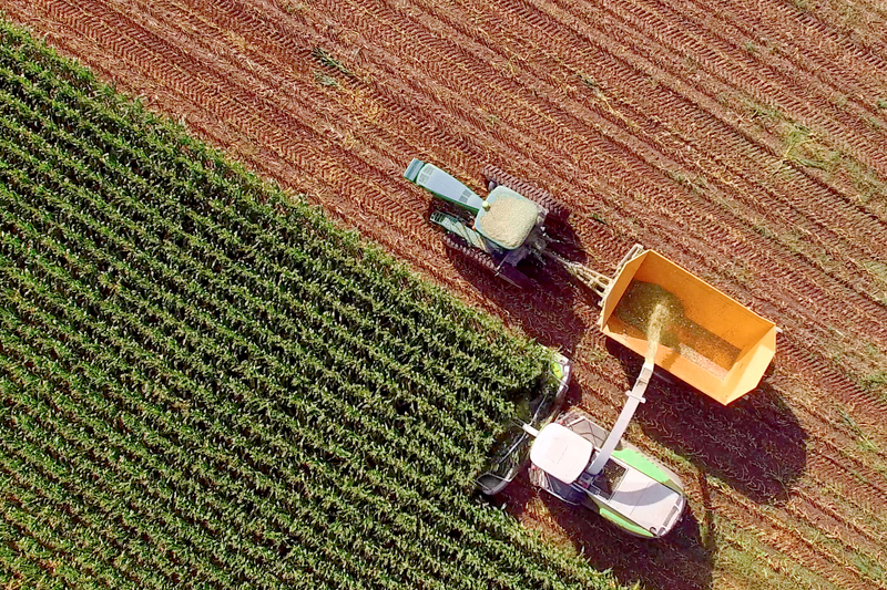 認識永續農業 發展與行動建議 – CSRone 永續智庫